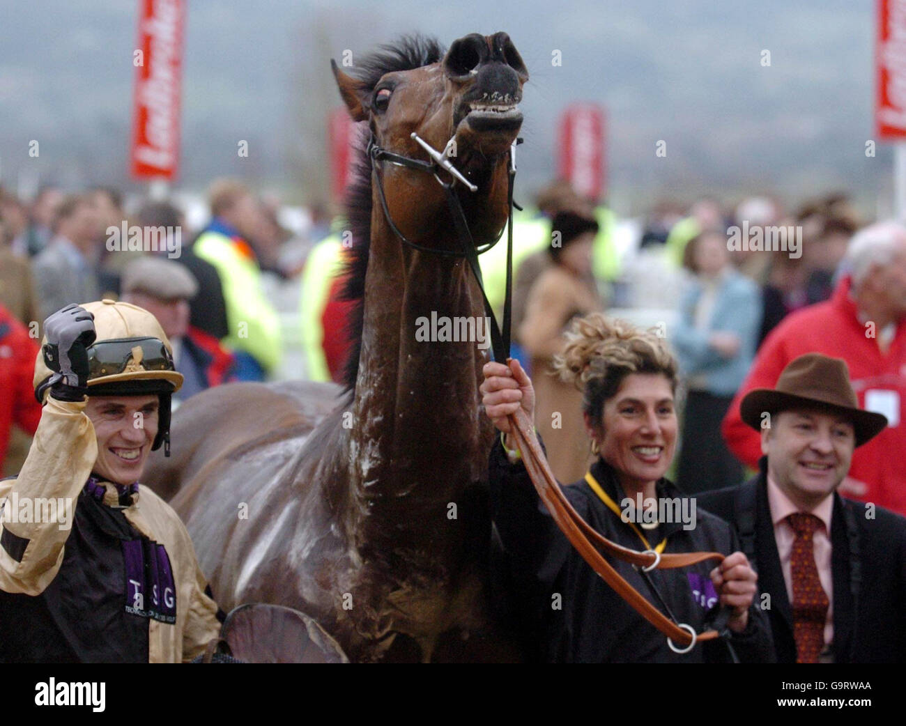 Jockey paddy brennan feiert mit inglis drever -Fotos und -Bildmaterial ...