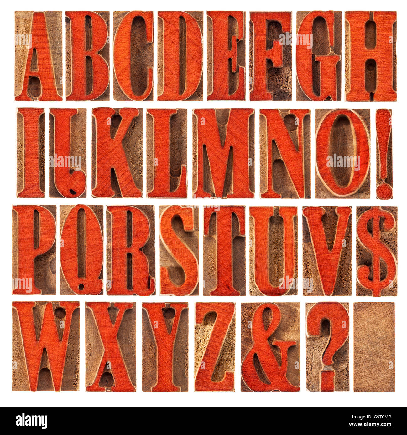 Tropische Holzart 6 Buchstaben