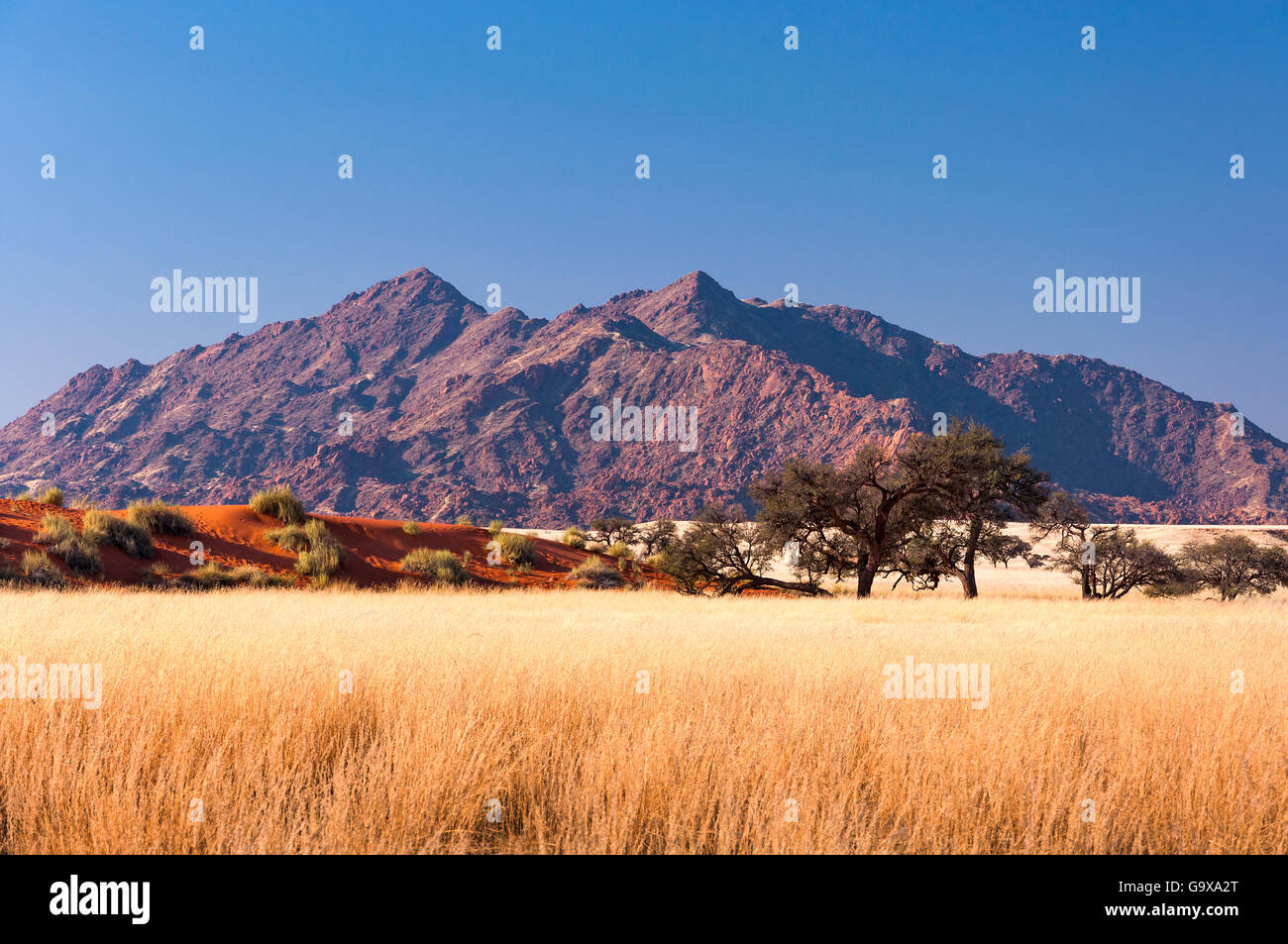 Savannah africa -Fotos und -Bildmaterial in hoher Auflösung – Alamy