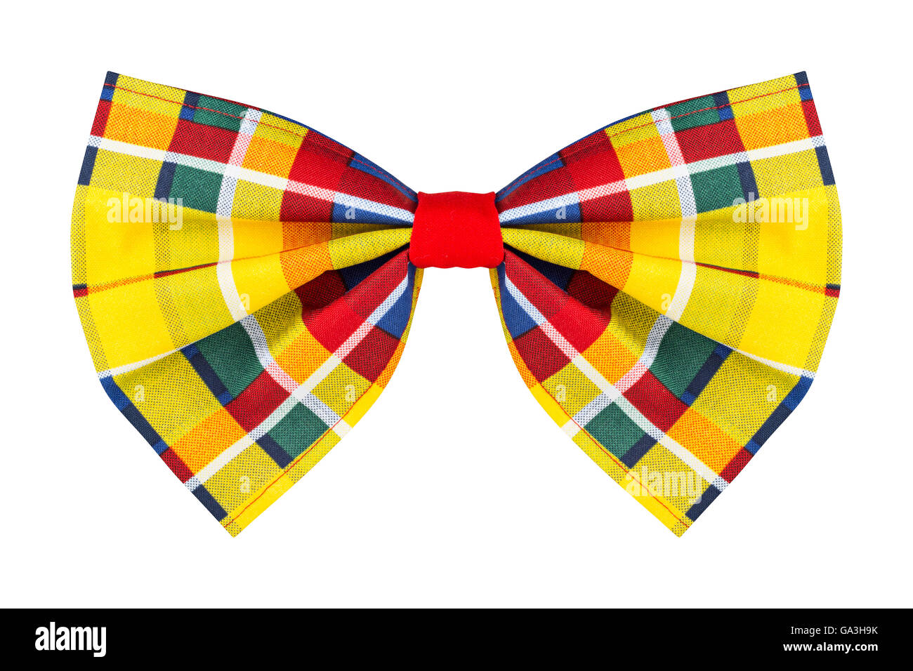 Schwarze und gelbe fliege -Fotos und -Bildmaterial in hoher Auflösung ...