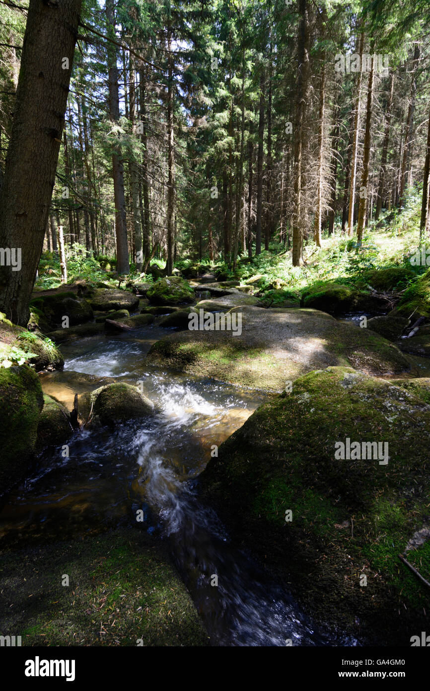 Arbesbach Wasserfall Lohnbachfall Strom Kleiner Kamp am Pretrobruck ...