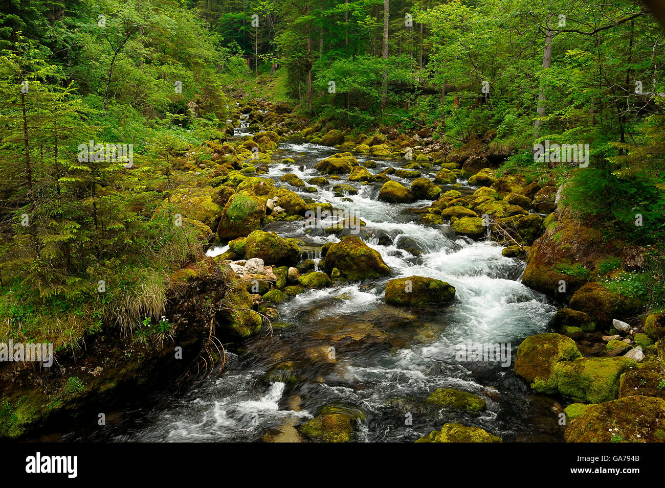 Bei windischgarsten Stockfotos und -bilder Kaufen - Alamy