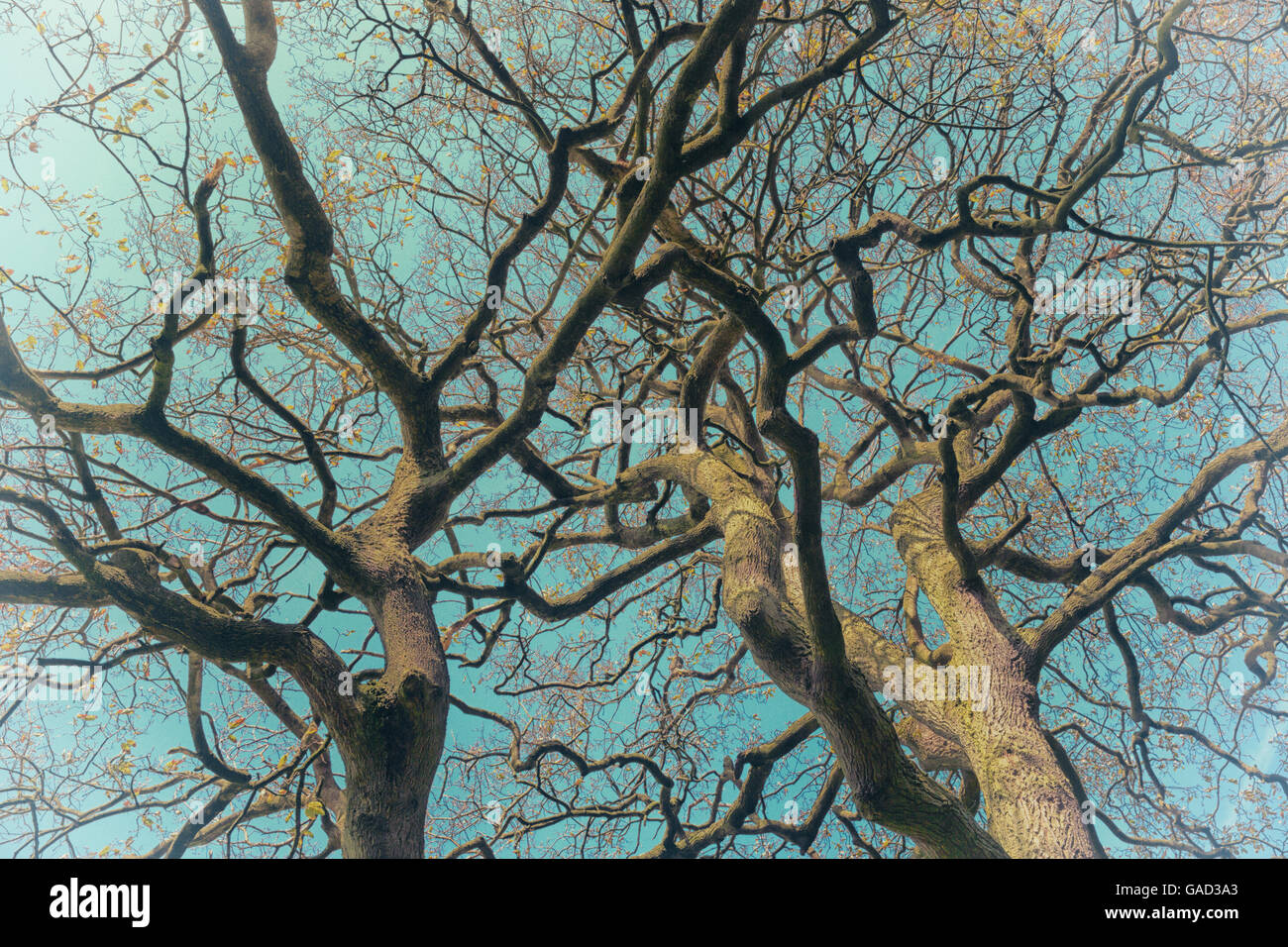 Winter art -Fotos und -Bildmaterial in hoher Auflösung – Alamy