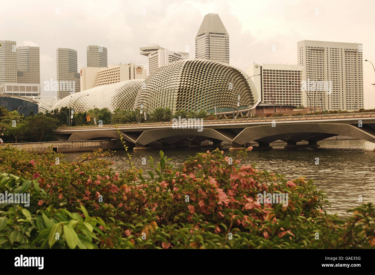 Durian Building Singapore Stockfotos und -bilder Kaufen - Alamy