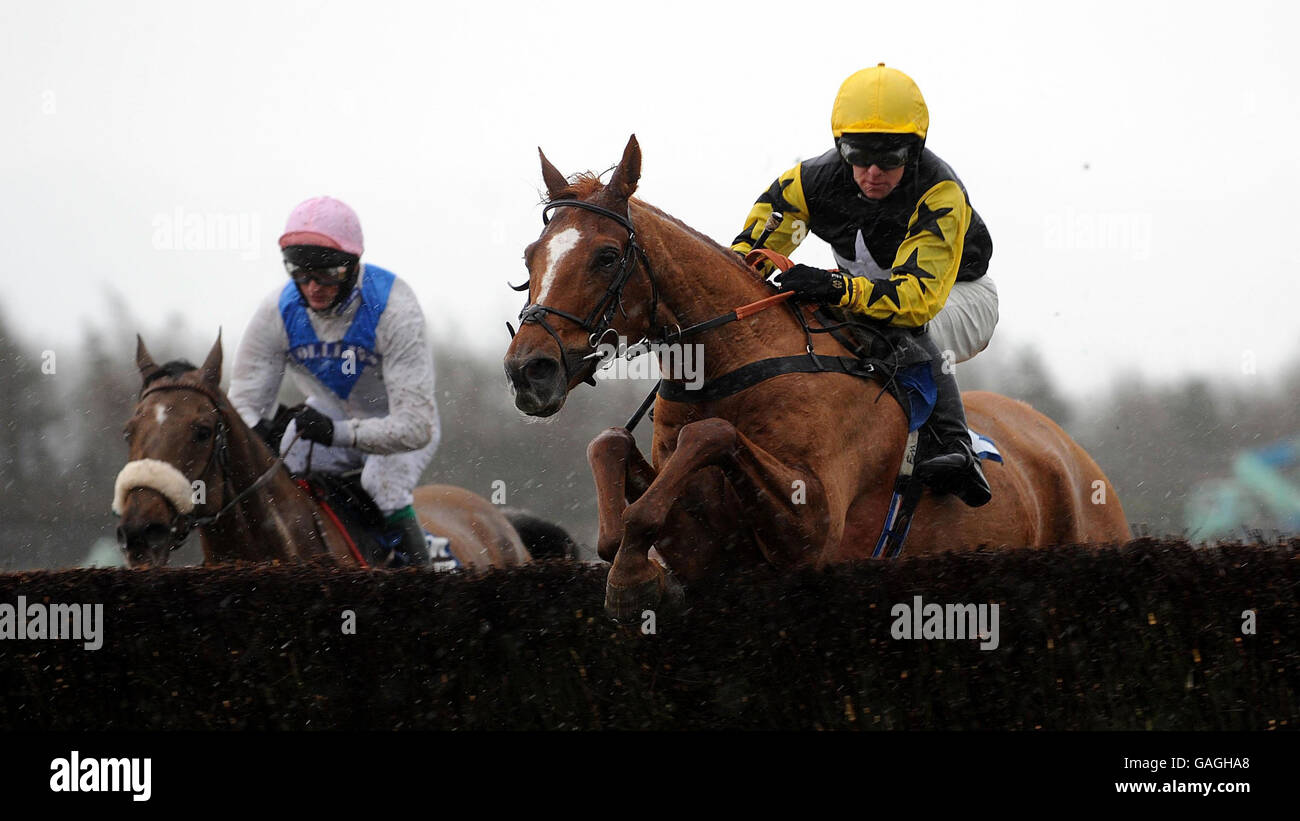 Weatherbys bank north yorkshire grand national pferderennen catterick ...