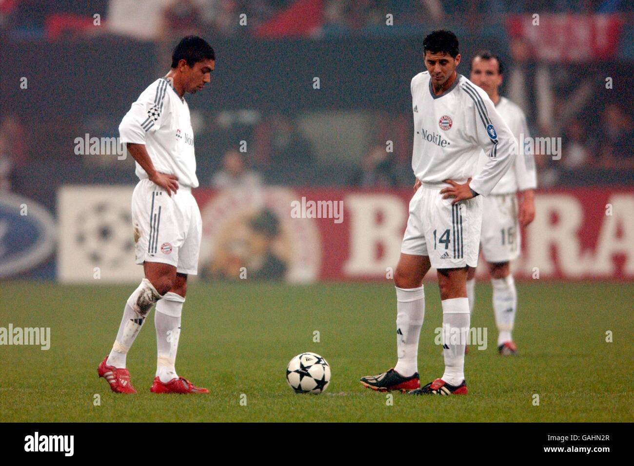 Giovane elber -Fotos und -Bildmaterial in hoher Auflösung – Alamy