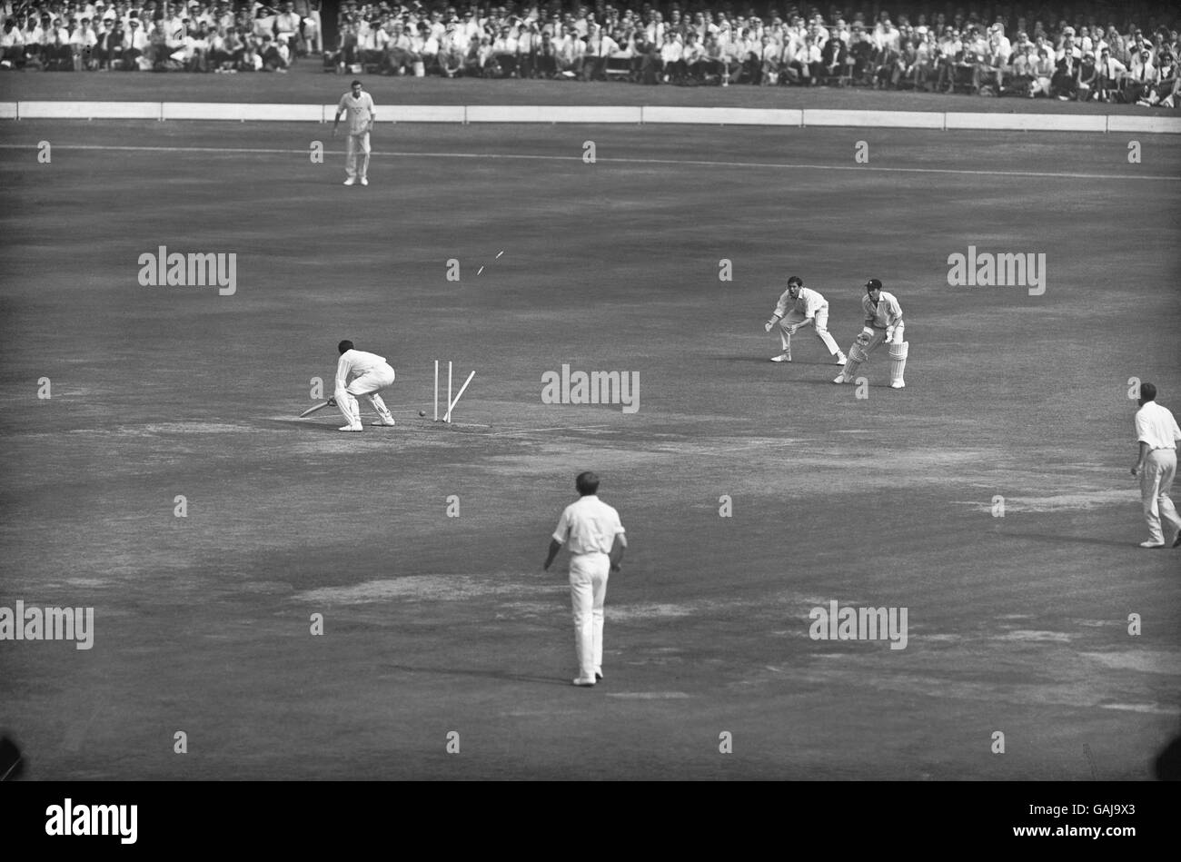 Warwickshires billy ibadulla -Fotos und -Bildmaterial in hoher ...