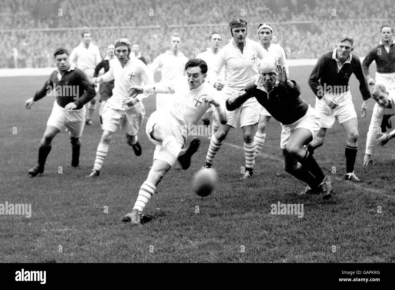 Albert agar -Fotos und -Bildmaterial in hoher Auflösung – Alamy