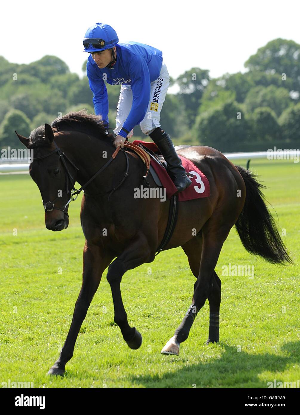 Pferderennen - TimeForm Silver Salver - Haydock Park. Khor Dubai mit ...