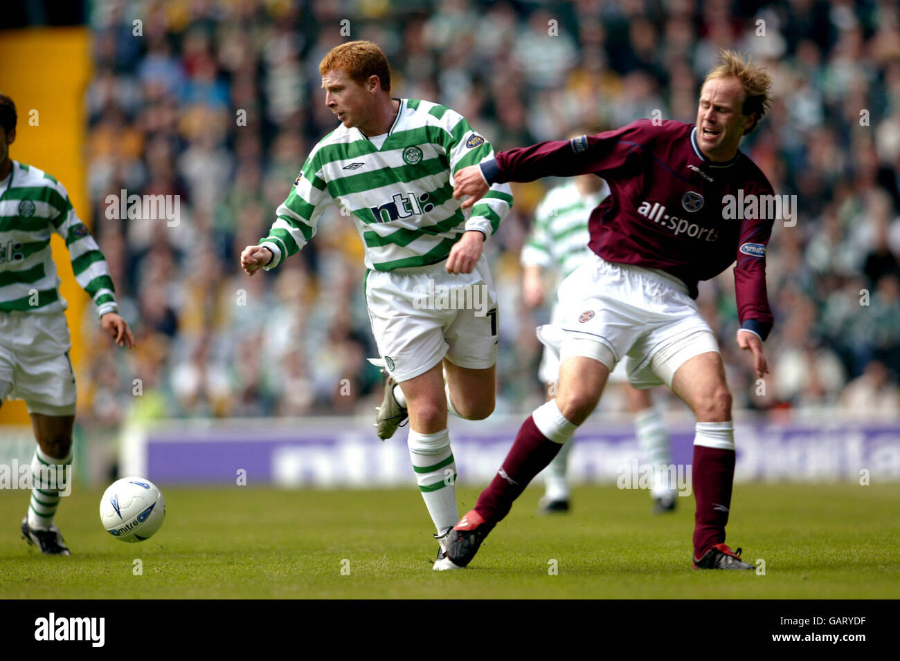 Herz midlothians neil macfarlane kampfball -Fotos und -Bildmaterial in ...