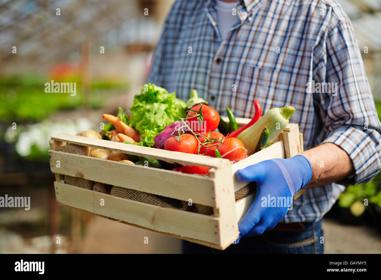 Gute erntefarm -Fotos und -Bildmaterial in hoher Auflösung – Alamy