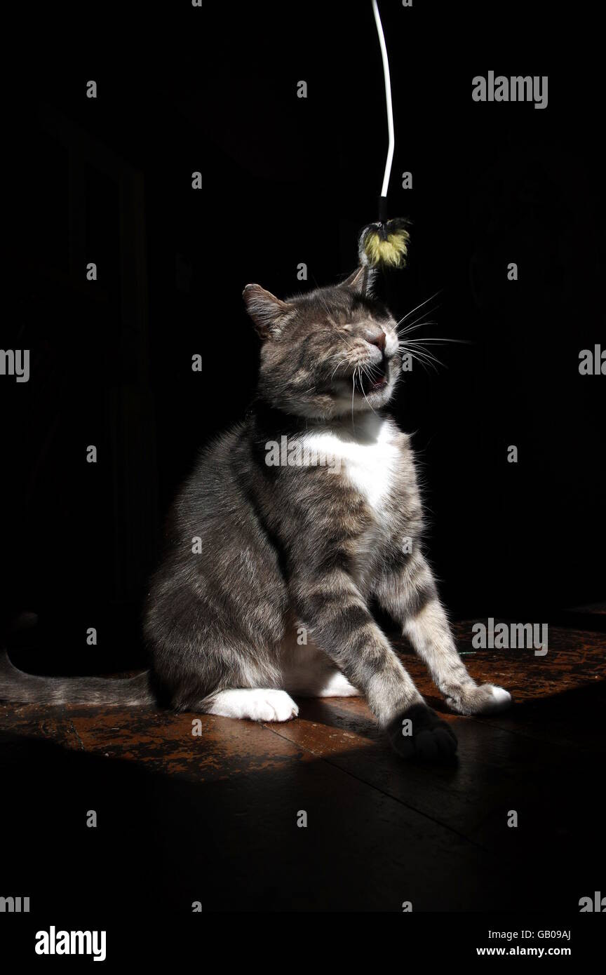 Ticklish Stockfotos und -bilder Kaufen - Alamy