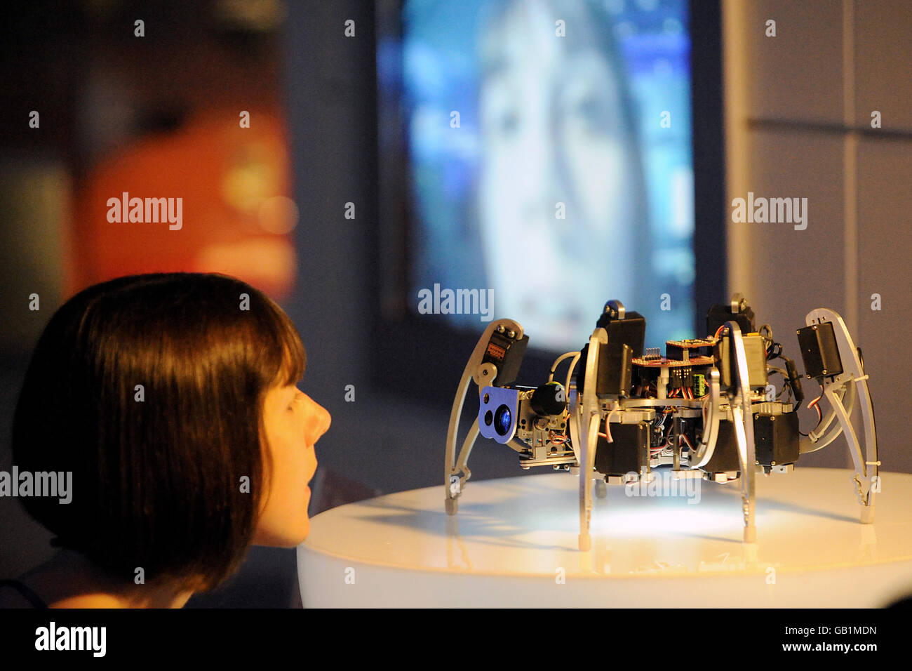 Ein Besucher schaut sich die Kreation des Designers Matthew Denton The ...