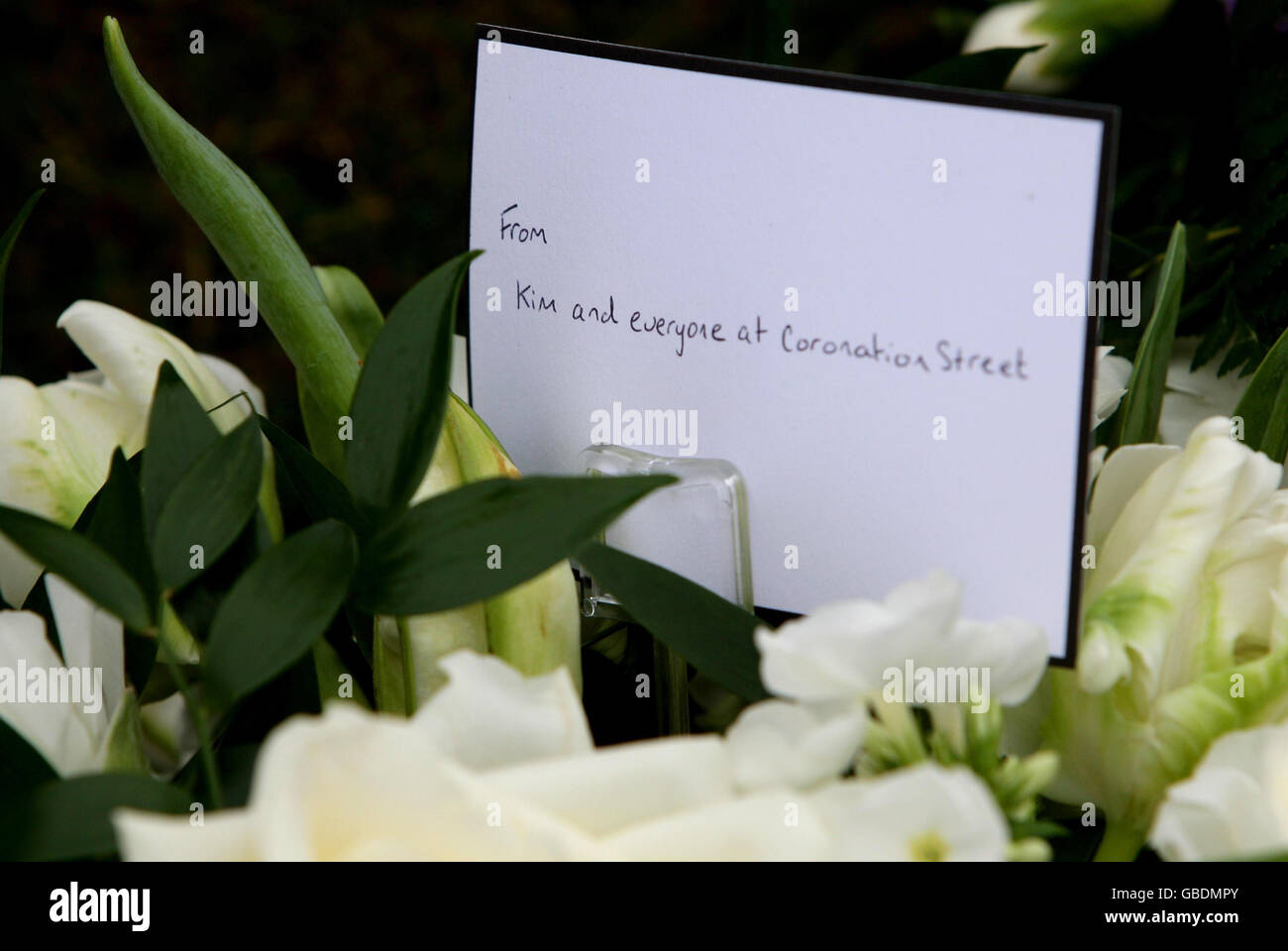 Sara roache denkmal -Fotos und -Bildmaterial in hoher Auflösung – Alamy