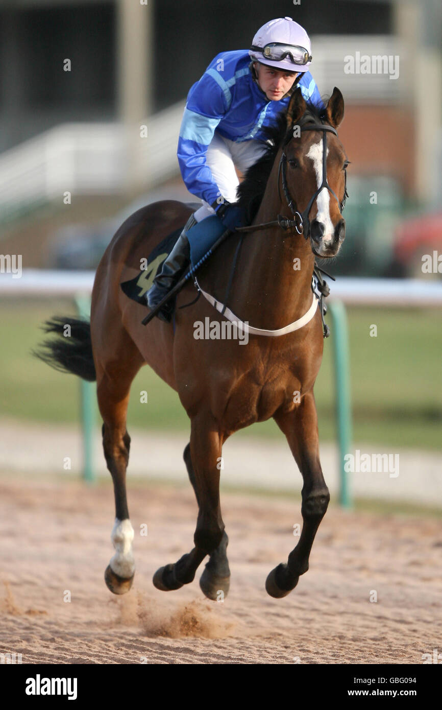 Freier tony der tiger -Fotos und -Bildmaterial in hoher Auflösung – Alamy