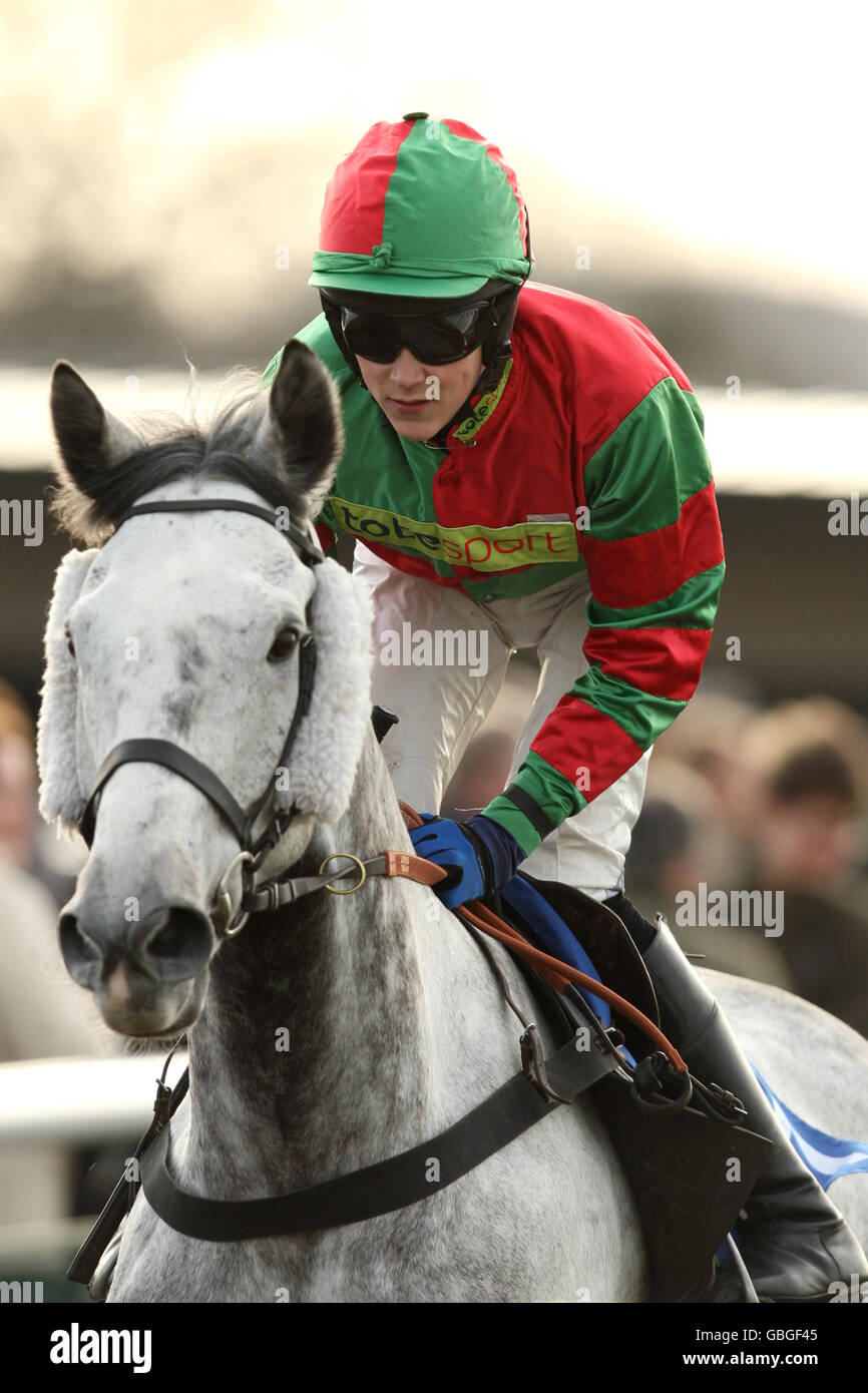 Rotbraune jagd -Fotos und -Bildmaterial in hoher Auflösung – Alamy