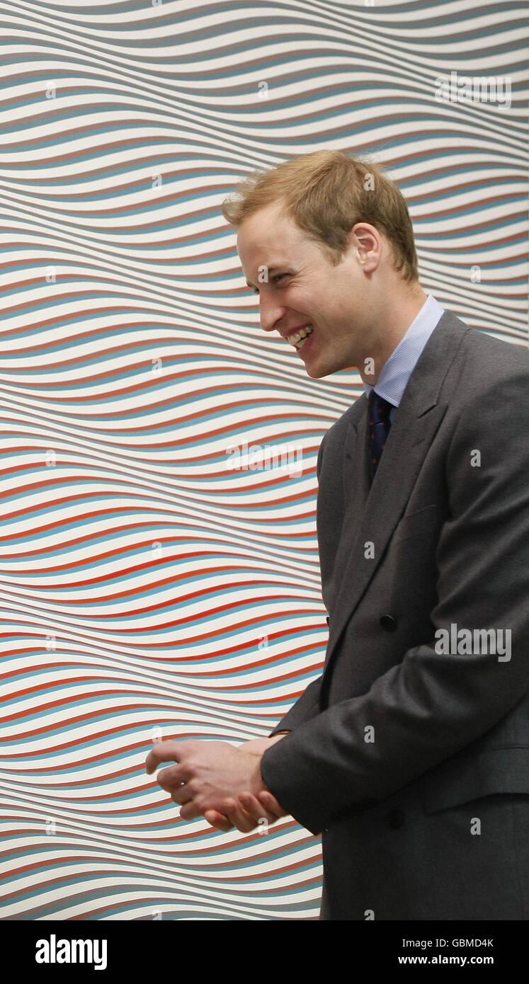 Bridget riley cataract -Fotos und -Bildmaterial in hoher Auflösung – Alamy
