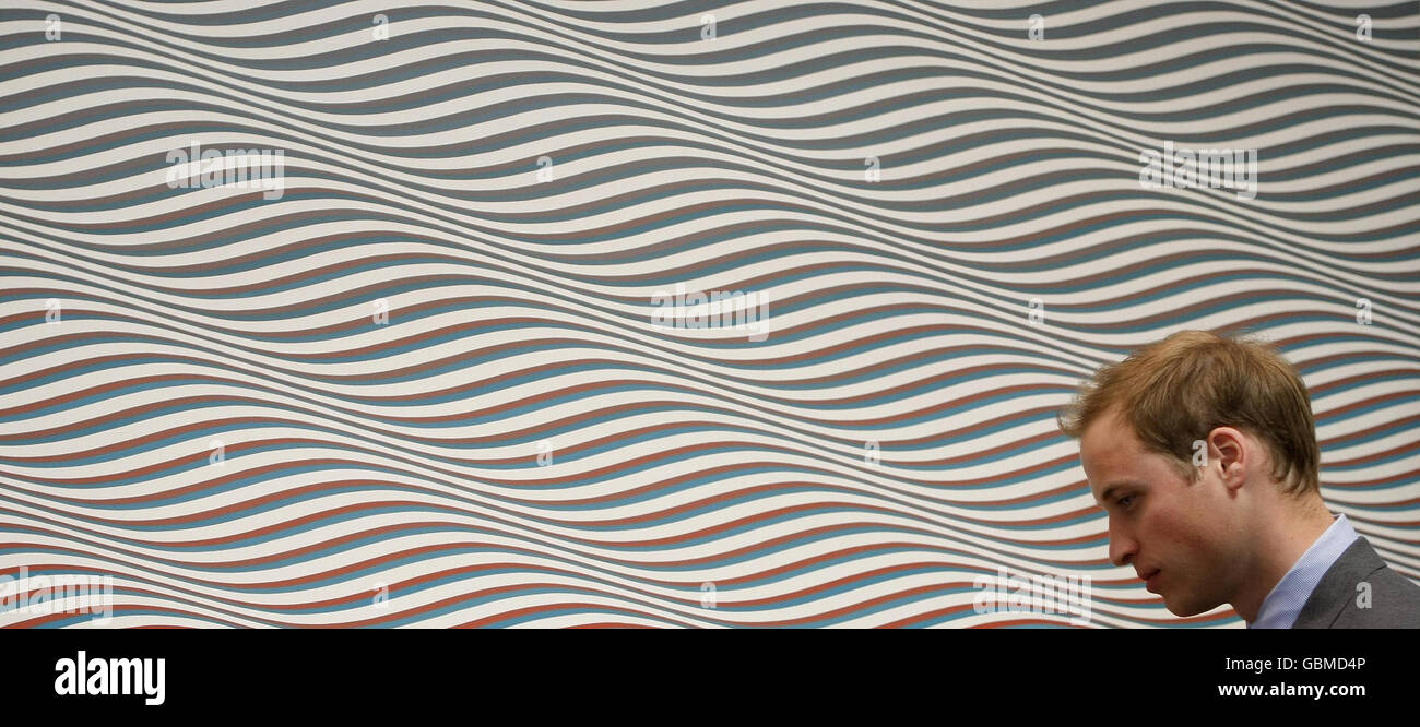 Bridget riley cataract -Fotos und -Bildmaterial in hoher Auflösung – Alamy