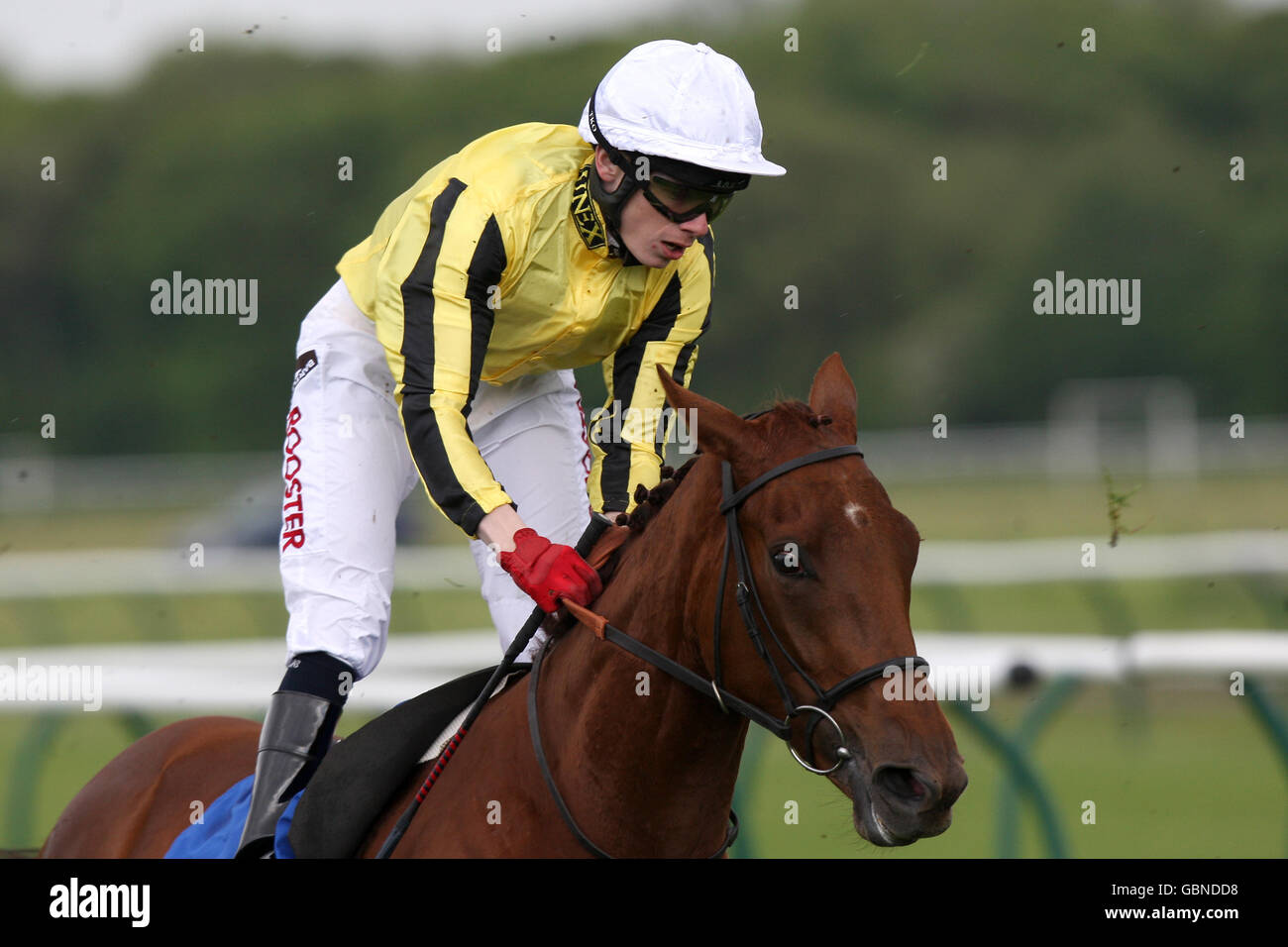 Jockey Jamie Spencer auf Act Green geht nach Post für The Racing UK auf ...