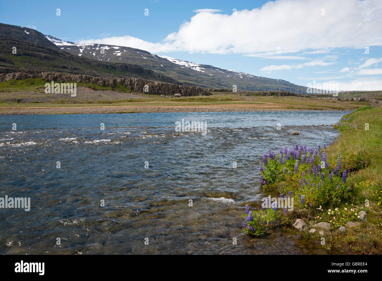 Die fossa -Fotos und -Bildmaterial in hoher Auflösung – Alamy