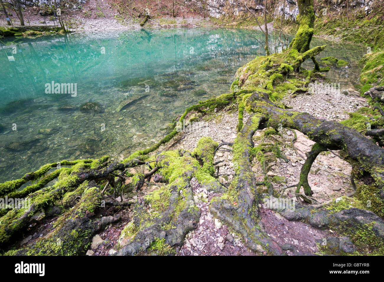 Slowenien, Zgornja Idrijca Natural Park, The Lake Divje Jezero oder ...