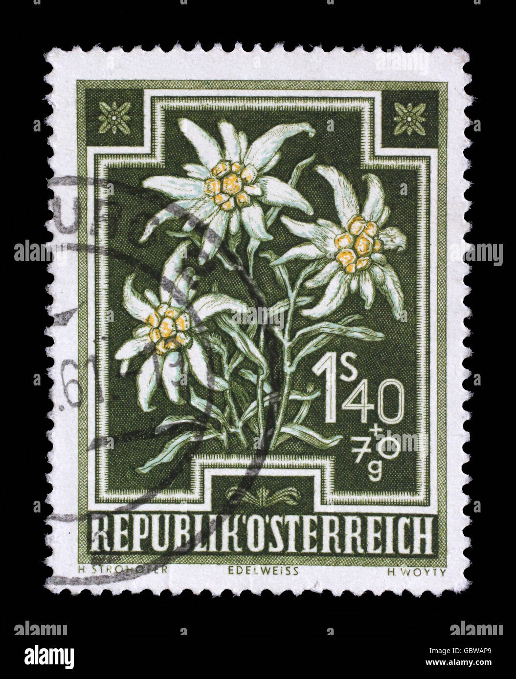 Briefmarke gedruckt durch Österreich, zeigt Edelweiß (Leontopodium ...