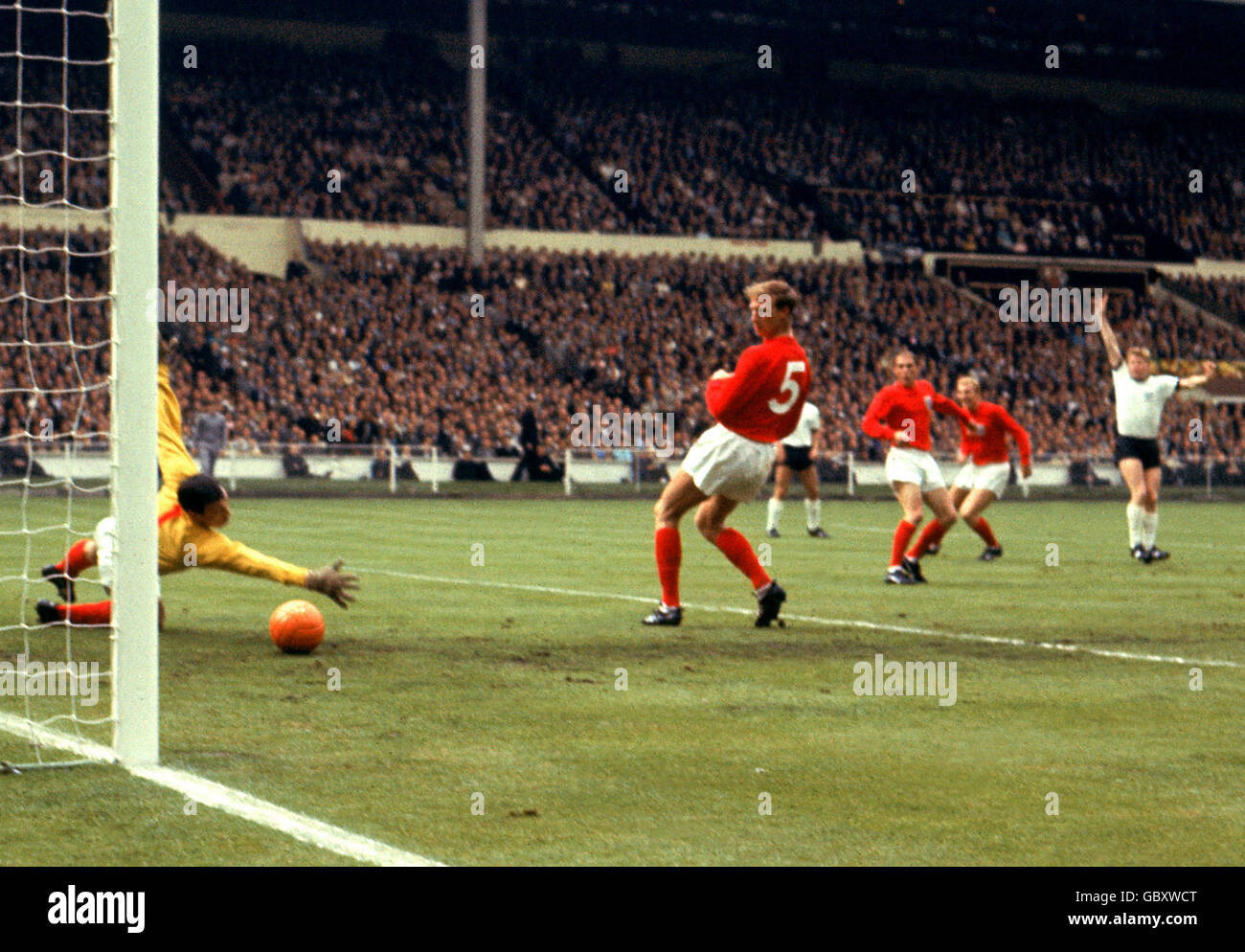 Helmut haller -Fotos und -Bildmaterial in hoher Auflösung – Alamy