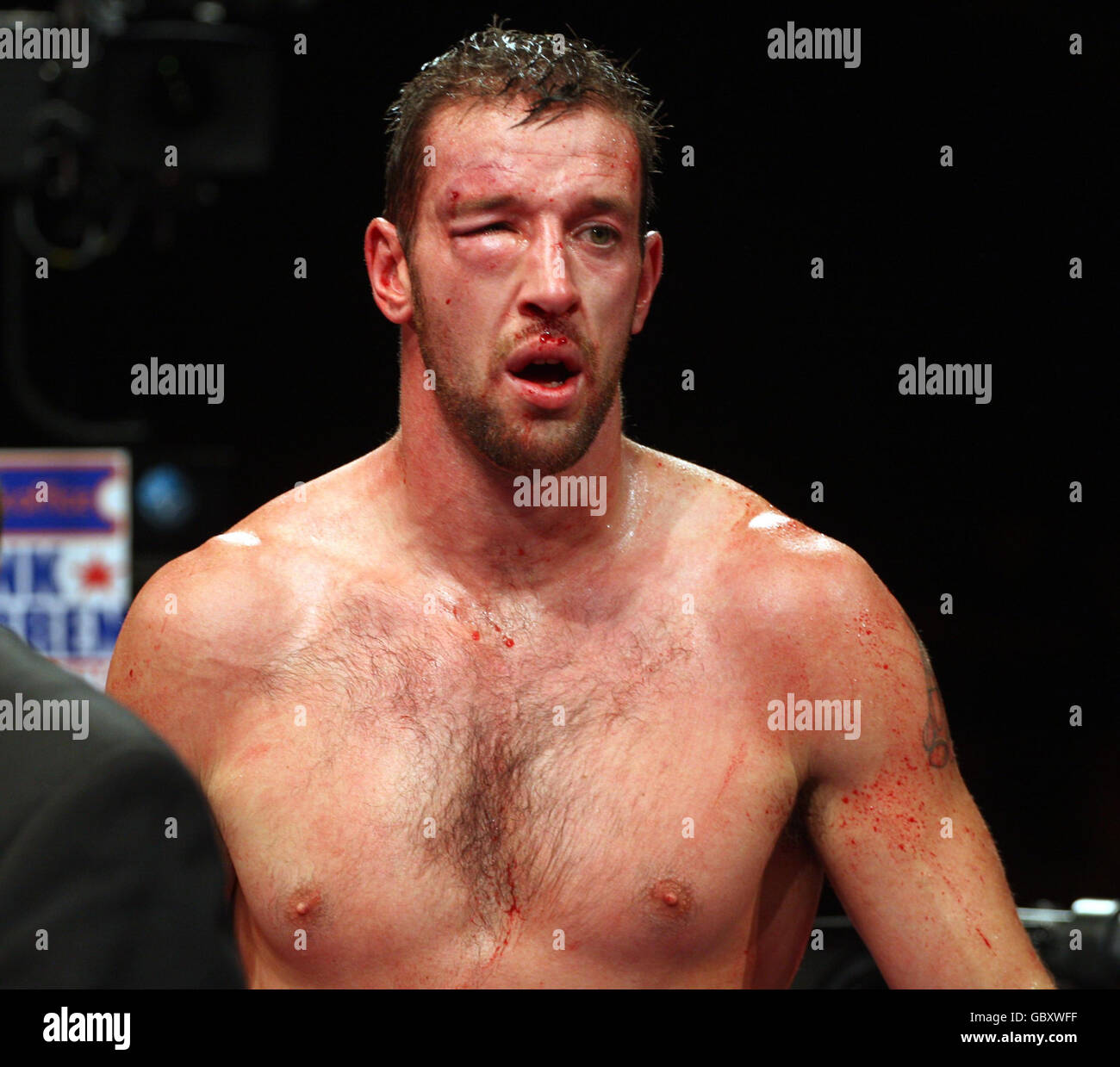 Enzo maccarinelli v denis lebedev -Fotos und -Bildmaterial in hoher ...