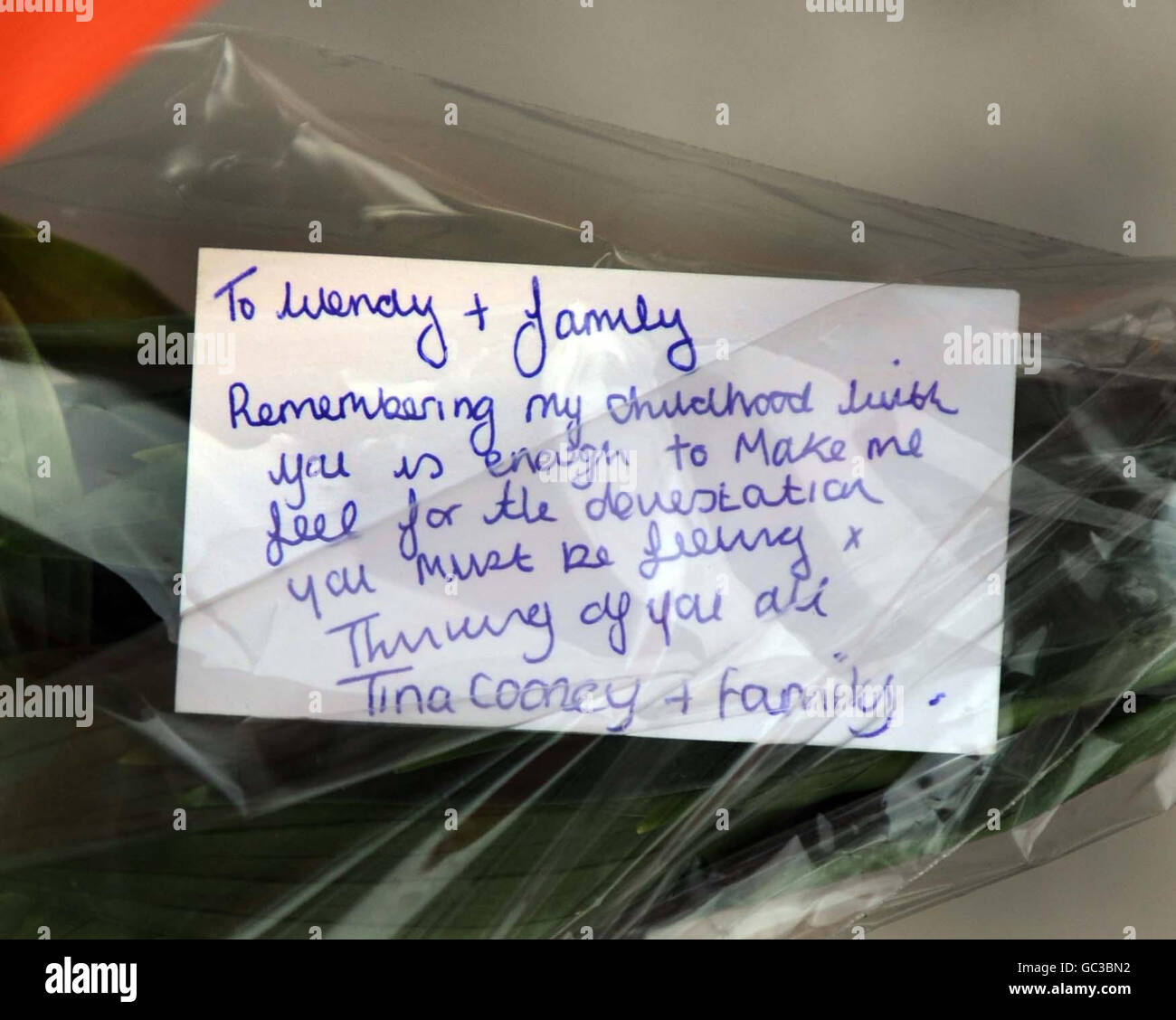 Rhys johnson airgun tod -Fotos und -Bildmaterial in hoher Auflösung – Alamy