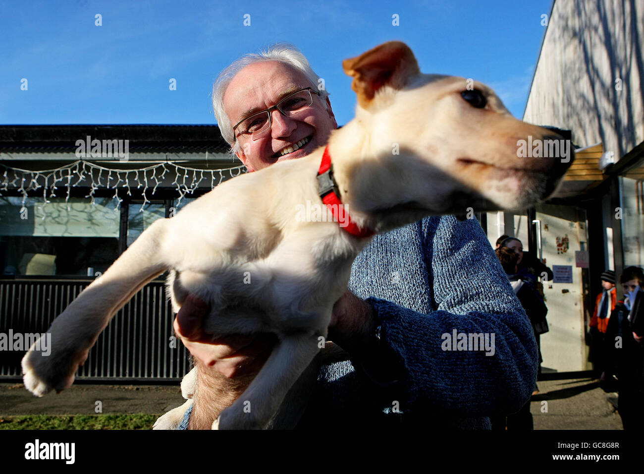 Einer der welpen im dspca tierheim in rathfarnham -Fotos und ...