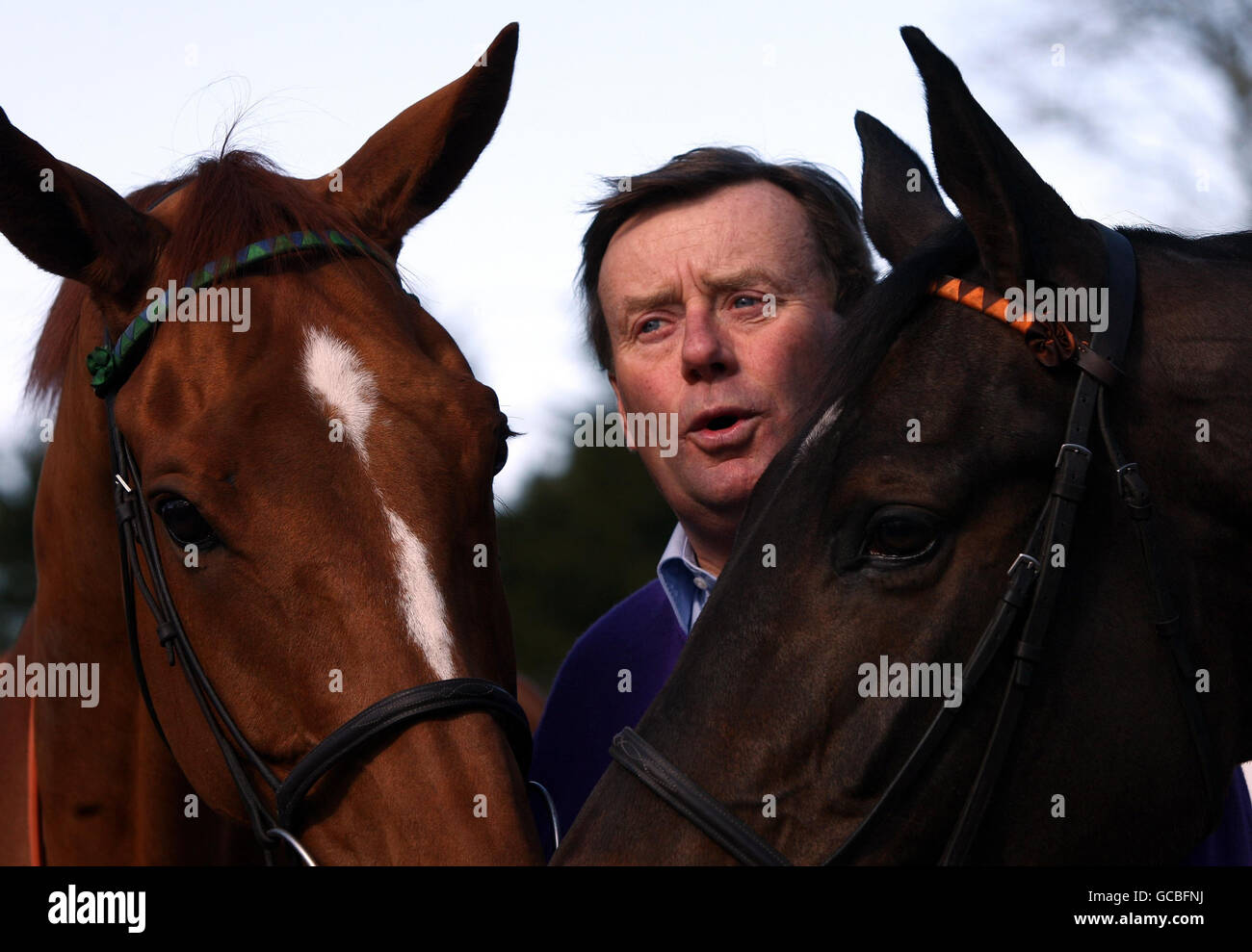 Trainer nicky henderson langzeitstall besuchen sieben schubkarren ...