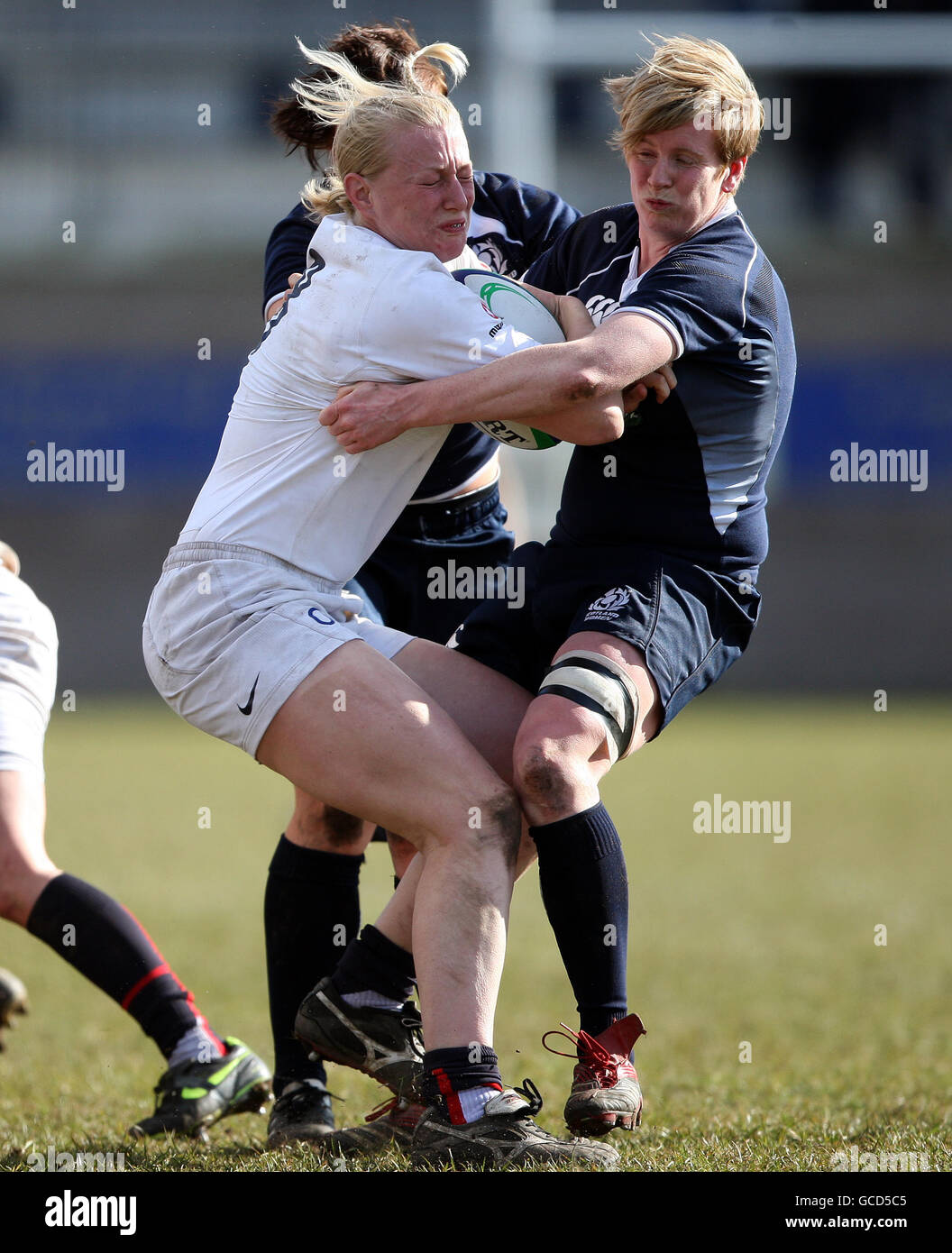 Tamara taylor -Fotos und -Bildmaterial in hoher Auflösung – Alamy