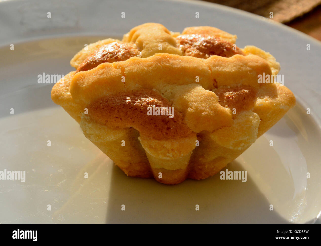 Leipziger lerche -Fotos und -Bildmaterial in hoher Auflösung – Alamy