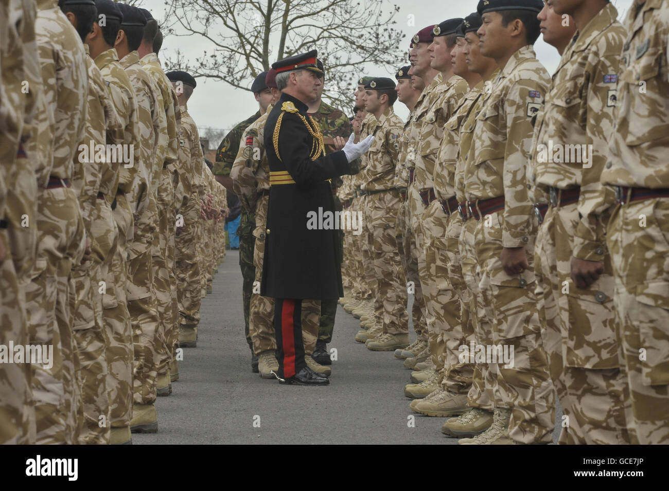 11 eod regiment -Fotos und -Bildmaterial in hoher Auflösung – Alamy