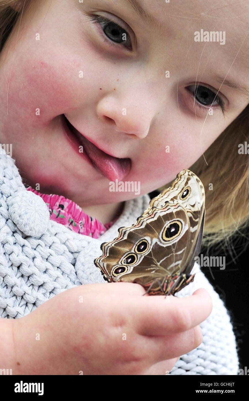 Izzy weber -Fotos und -Bildmaterial in hoher Auflösung – Alamy