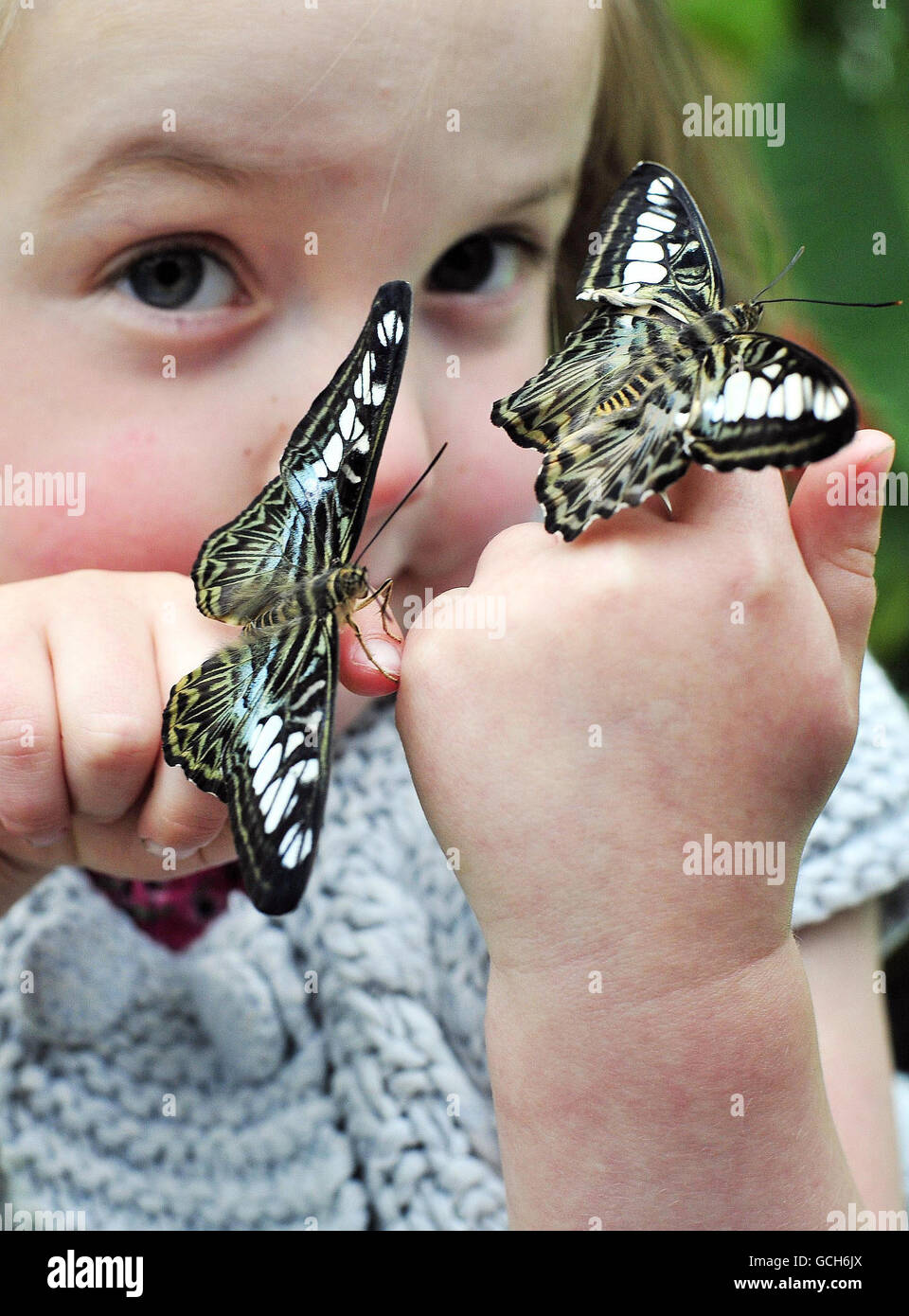 Izzy weber -Fotos und -Bildmaterial in hoher Auflösung – Alamy