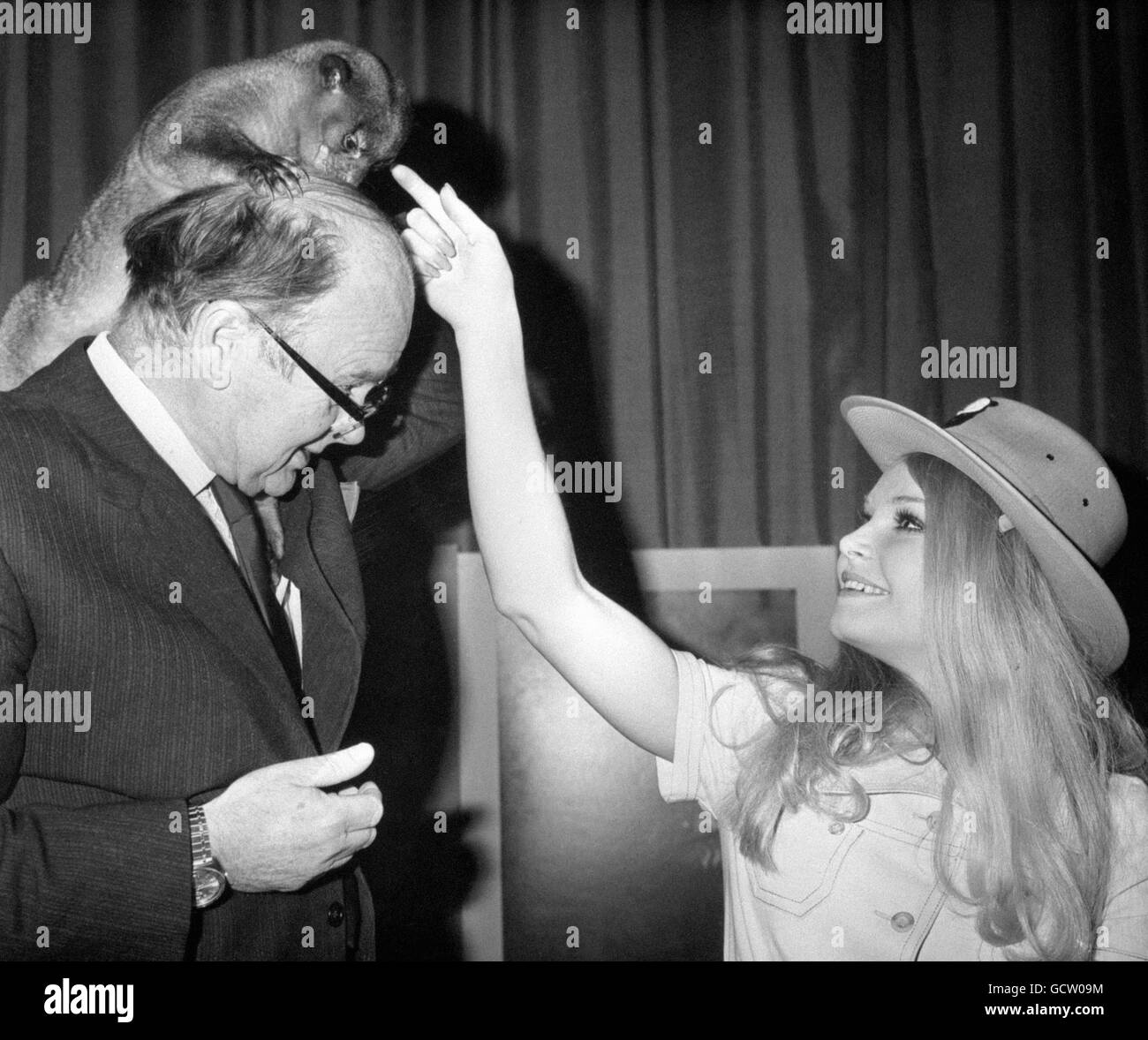 Oben sitzen peter scotts kopf -Fotos und -Bildmaterial in hoher ...