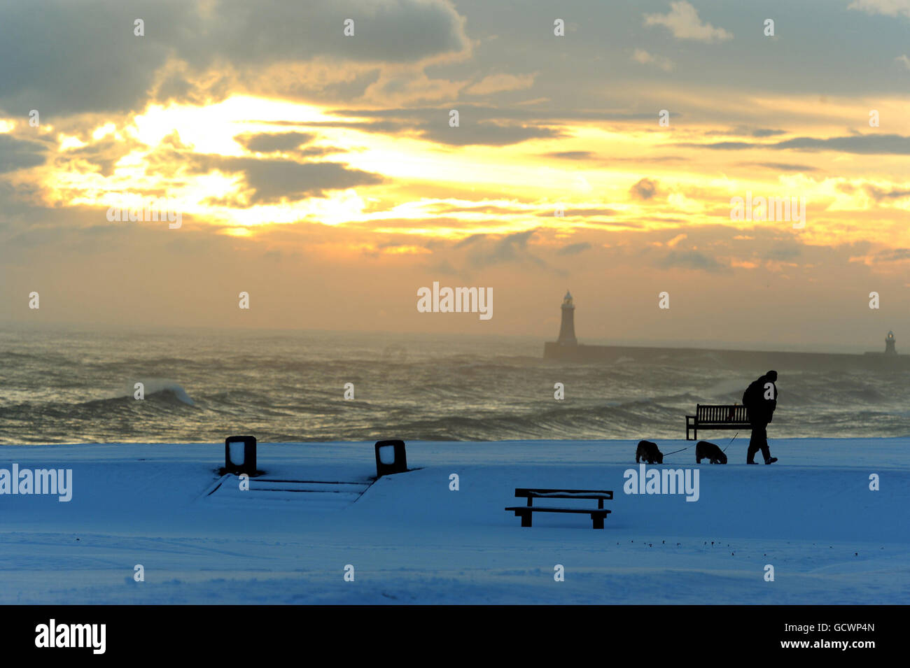 Hund am strand -Fotos und -Bildmaterial in hoher Auflösung – Alamy