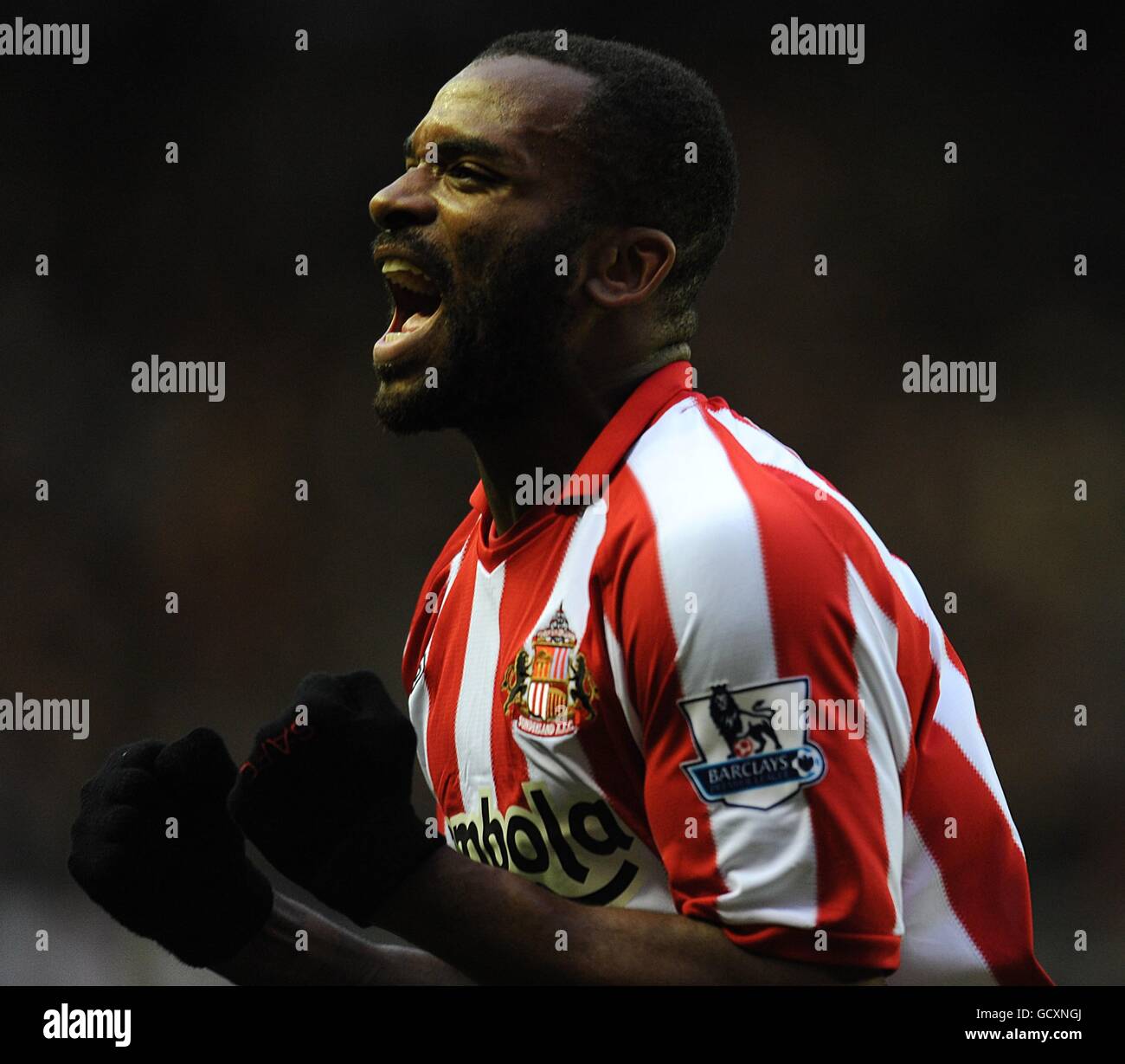 Sunderlands bent feiert das tor seiner mannschaft -Fotos und ...