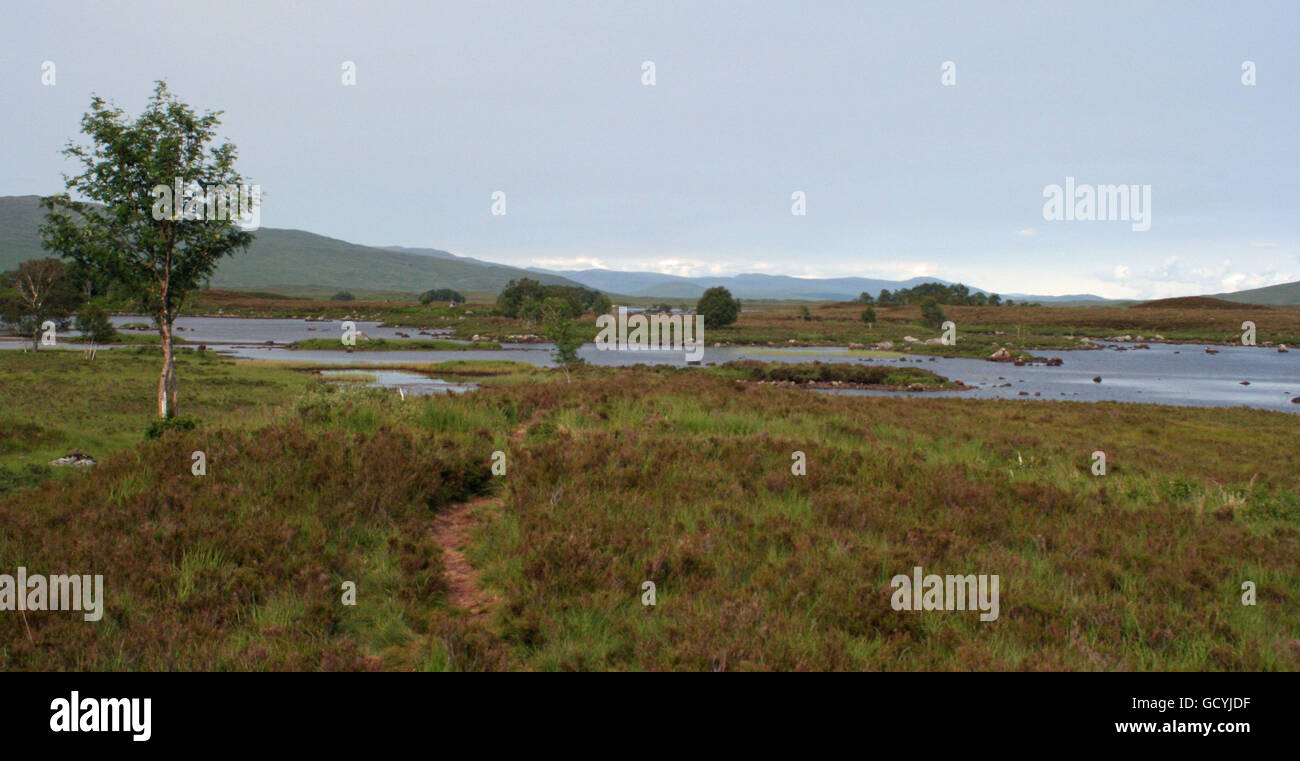 Obrazy szkocji -Fotos und -Bildmaterial in hoher Auflösung – Alamy