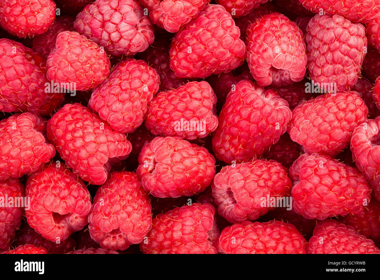 Himbeer himbeere -Fotos und -Bildmaterial in hoher Auflösung – Alamy