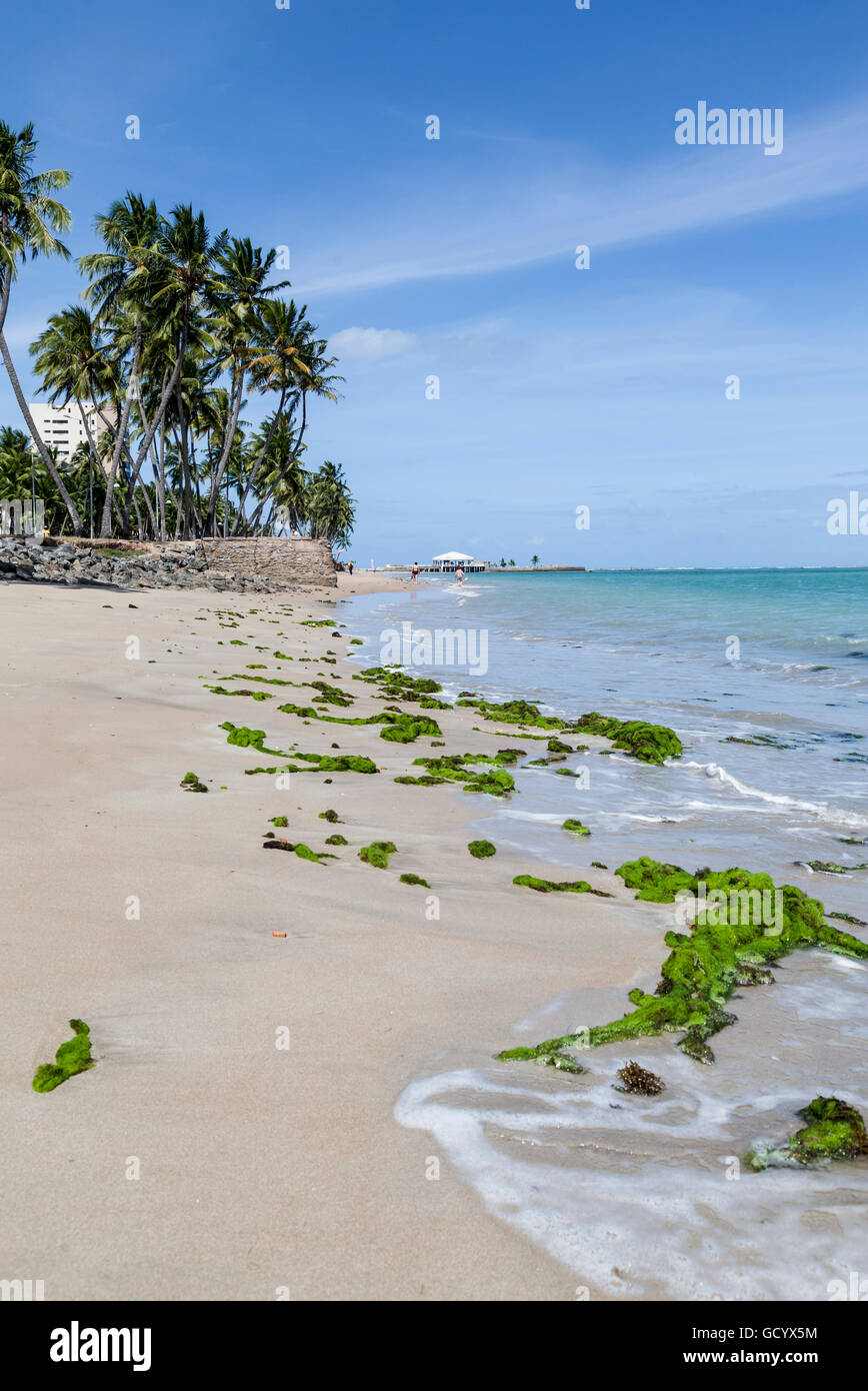 Pajucara Strand Maceio Alagoas Brasilien Stockfotografie - Alamy