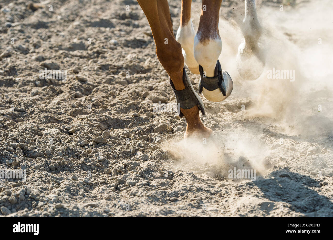 Beine laufen -Fotos und -Bildmaterial in hoher Auflösung – Alamy
