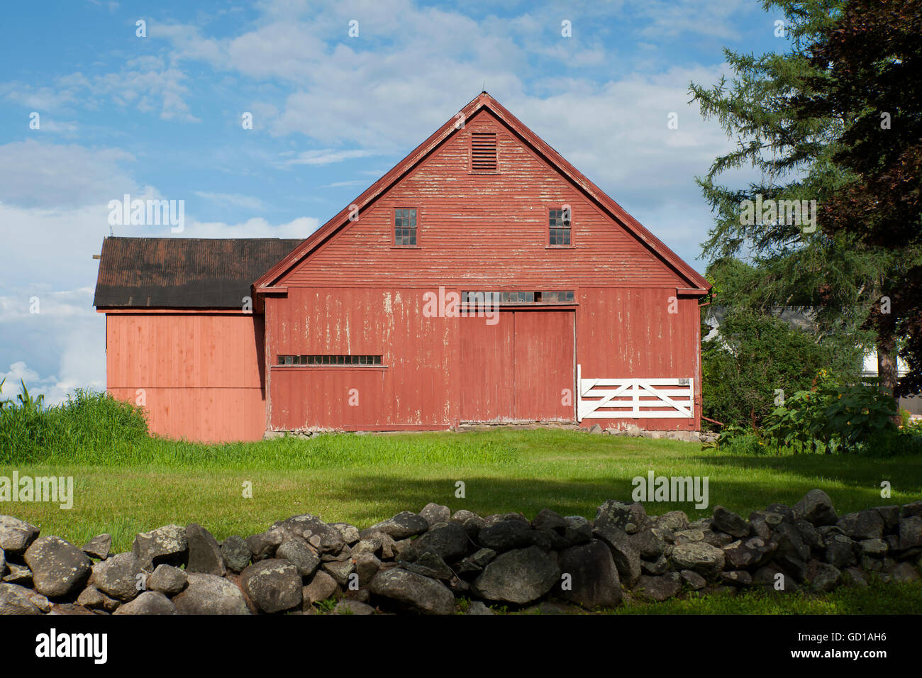 Rustikale rote Scheune hinter alten Steinmauer in New England ...