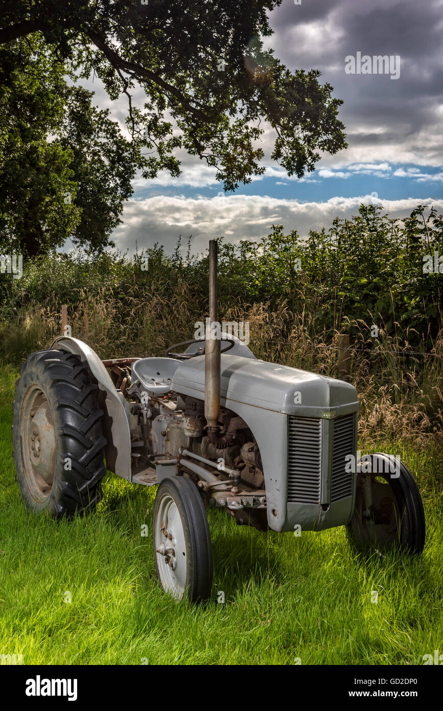 Massey ferguson oldtimer traktor -Fotos und -Bildmaterial in hoher ...