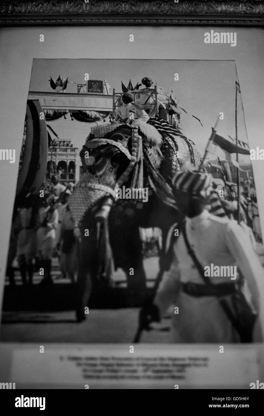 Elefant prozession -Fotos und -Bildmaterial in hoher Auflösung – Alamy