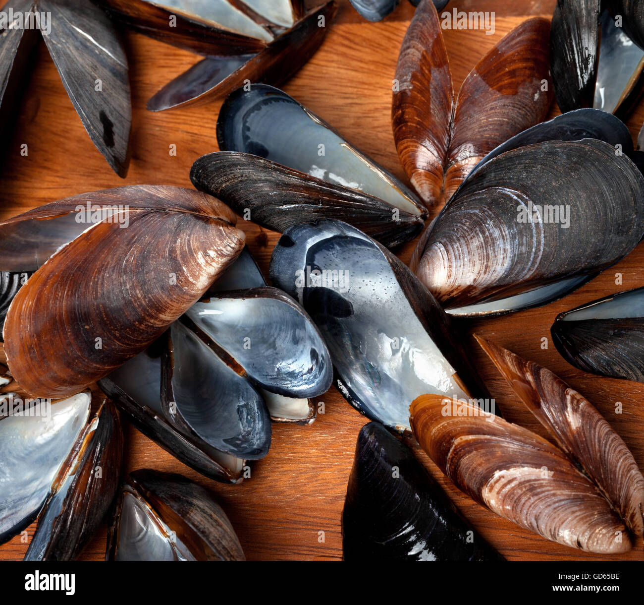 Muschel gegessen -Fotos und -Bildmaterial in hoher Auflösung – Alamy