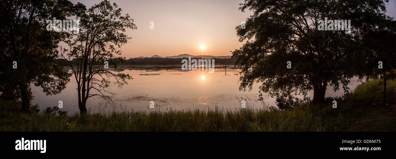 Minneriya wewa -Fotos und -Bildmaterial in hoher Auflösung – Alamy