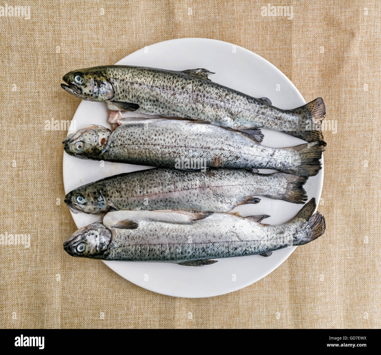 Leckere gegrillte Forelle. Essen-Thema. Internationale Küche. Fisch ...