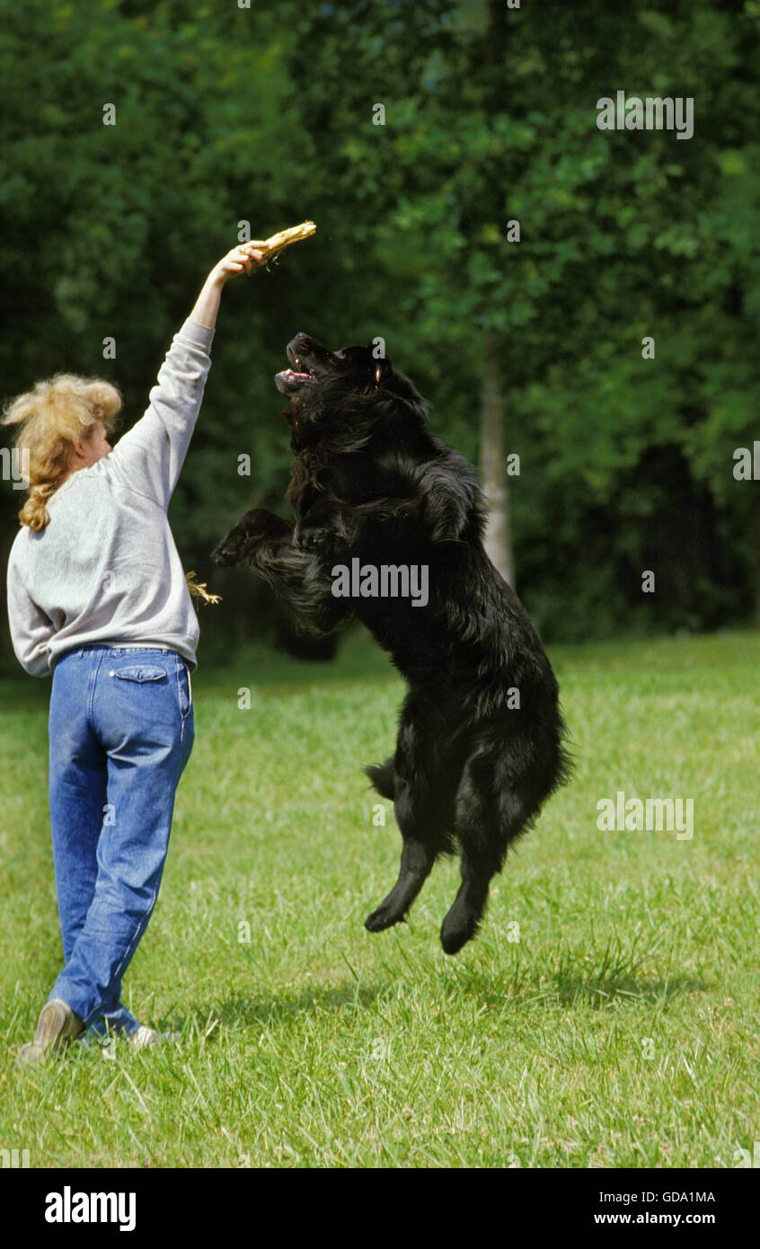 Frau mit hund -Fotos und -Bildmaterial in hoher Auflösung – Alamy